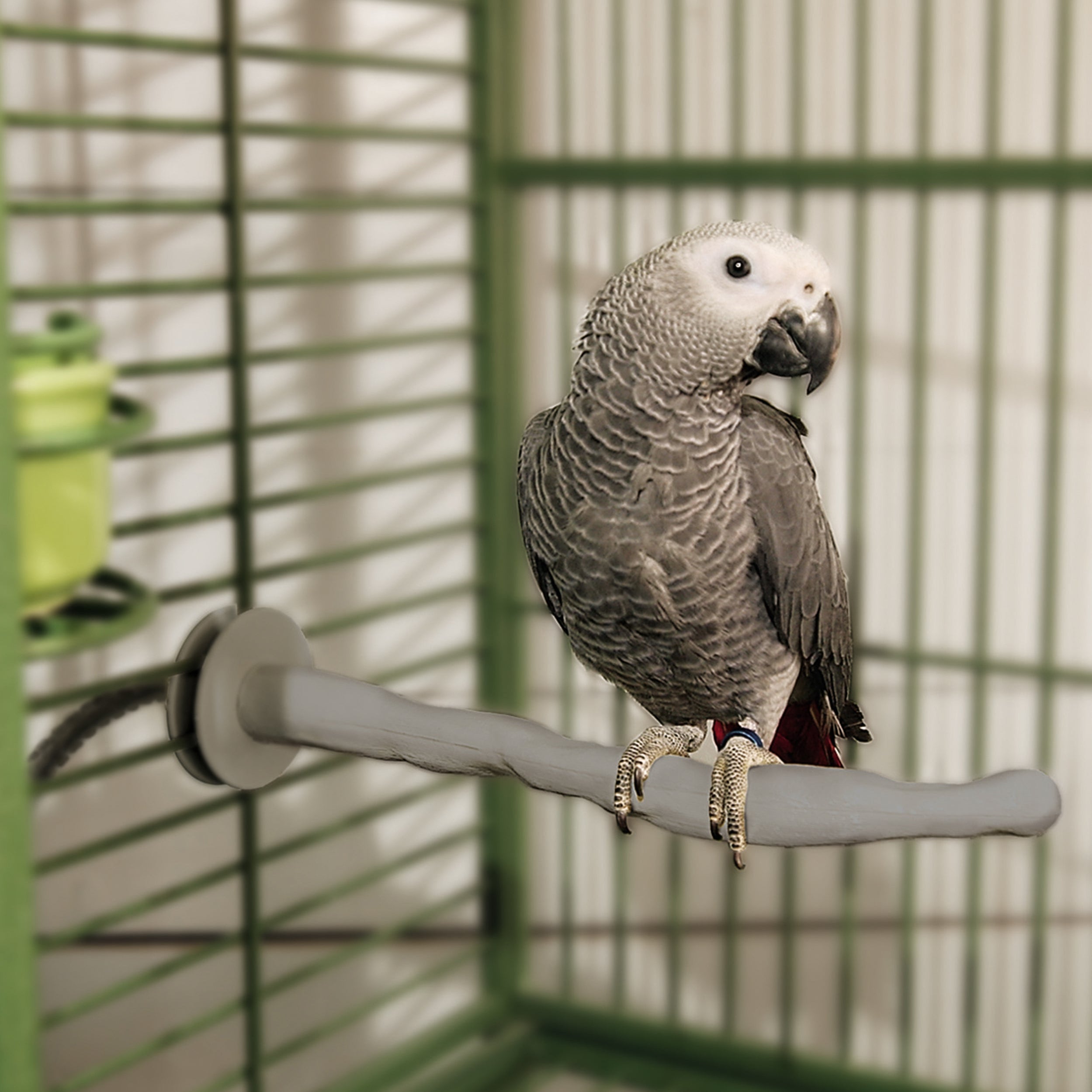 K&H Thermo-Perch Heated Bird Perch — K&H Pet Products