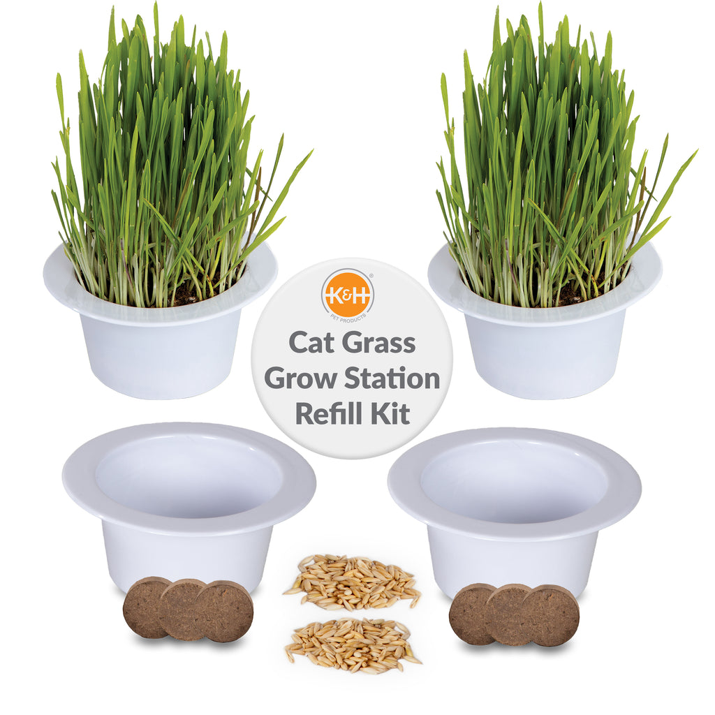 K&H EZ Mount Cat Grass Grow Station Products — K&H Pet Products