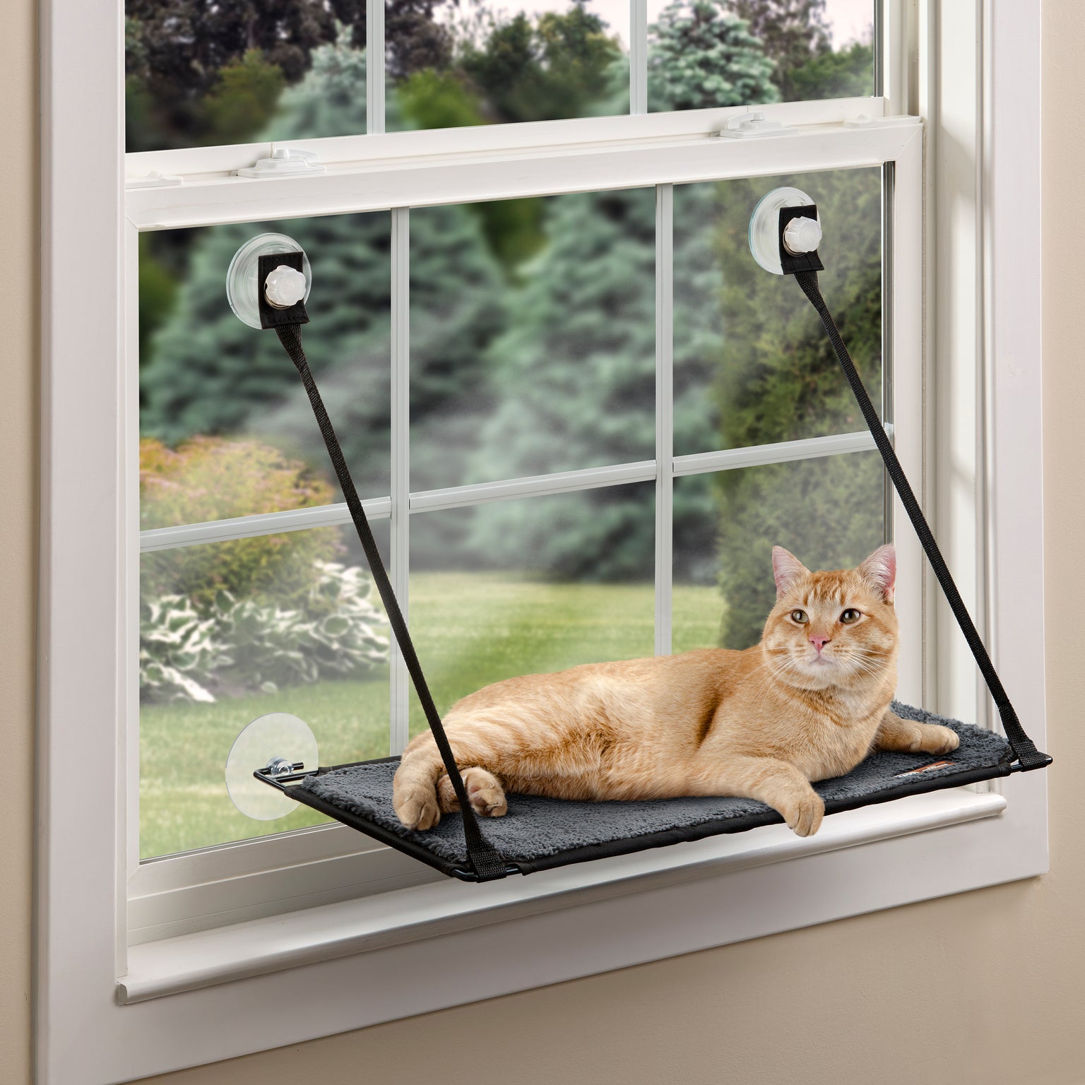 K&H Kitty Sill & EZ Mount Cat Window Perches — K&H Pet Products
