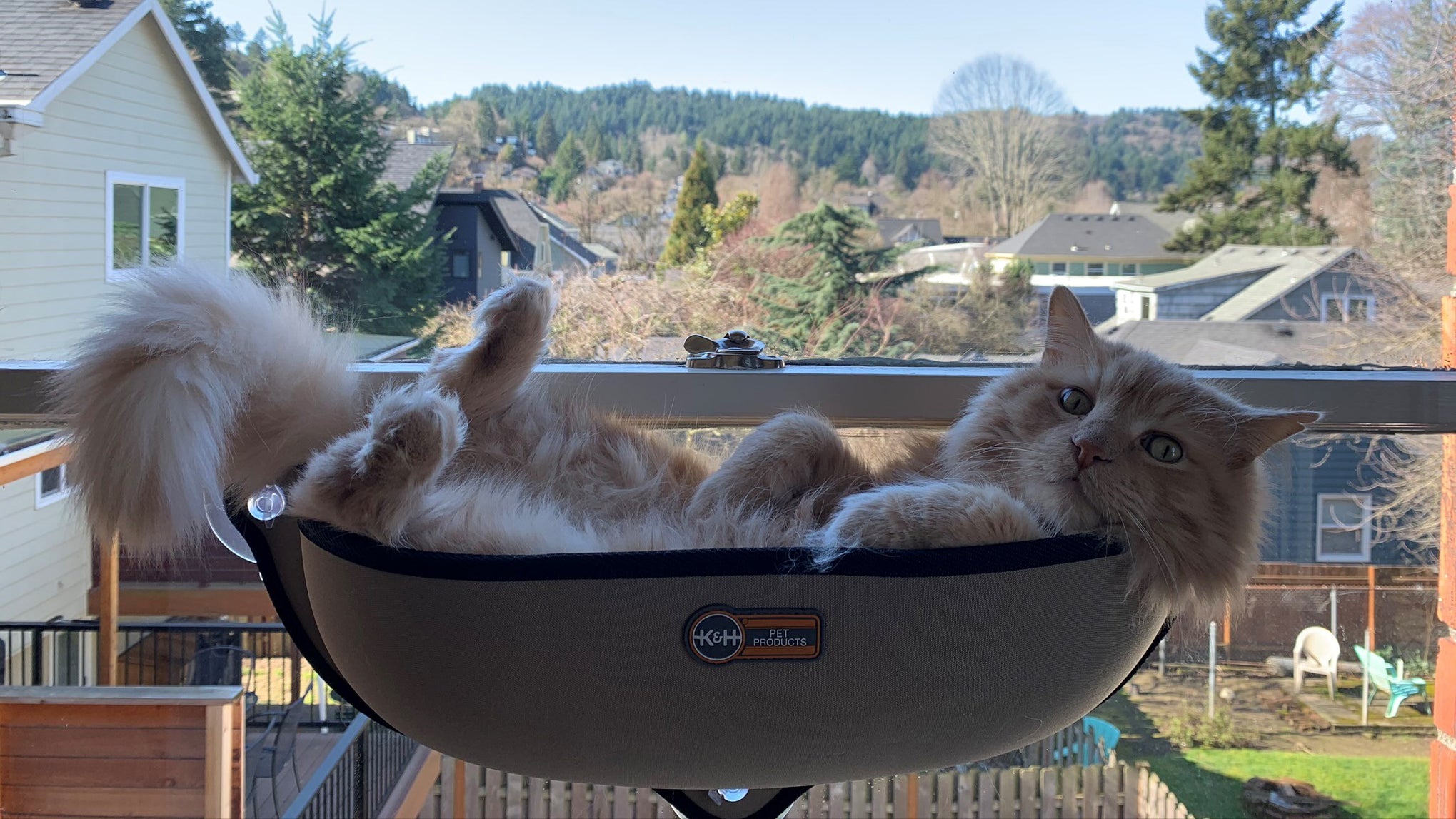Heated, Cooled Dog Cat & Pet Beds | Free Shipping | K&H Pet — K&H Pet ...