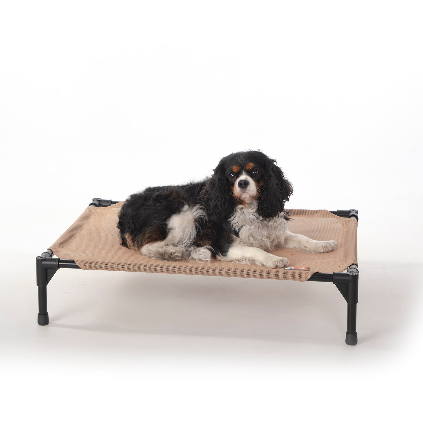 K&H All Season All Weather Dog Cot — K&H Pet Products