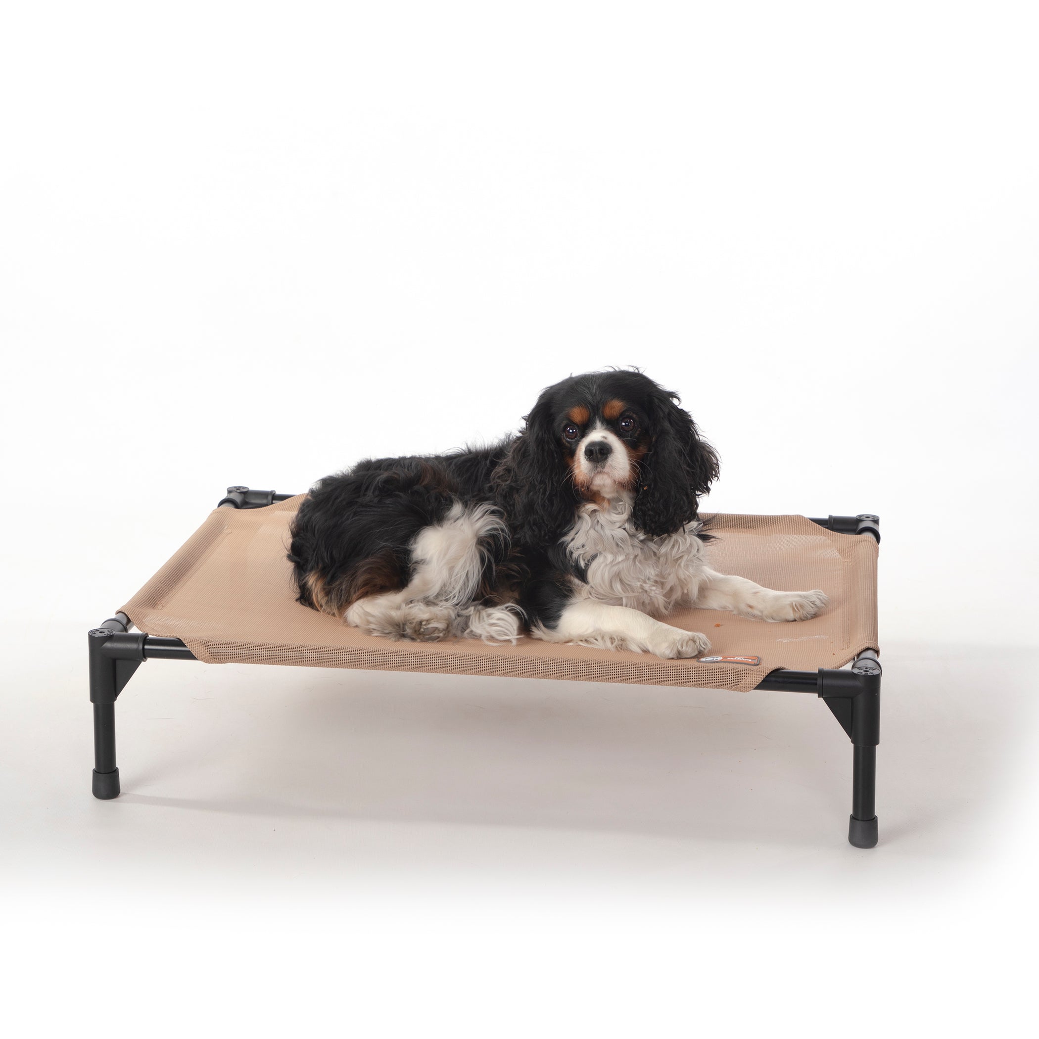 K&H All Season All Weather Dog Cot — K&H Pet Products