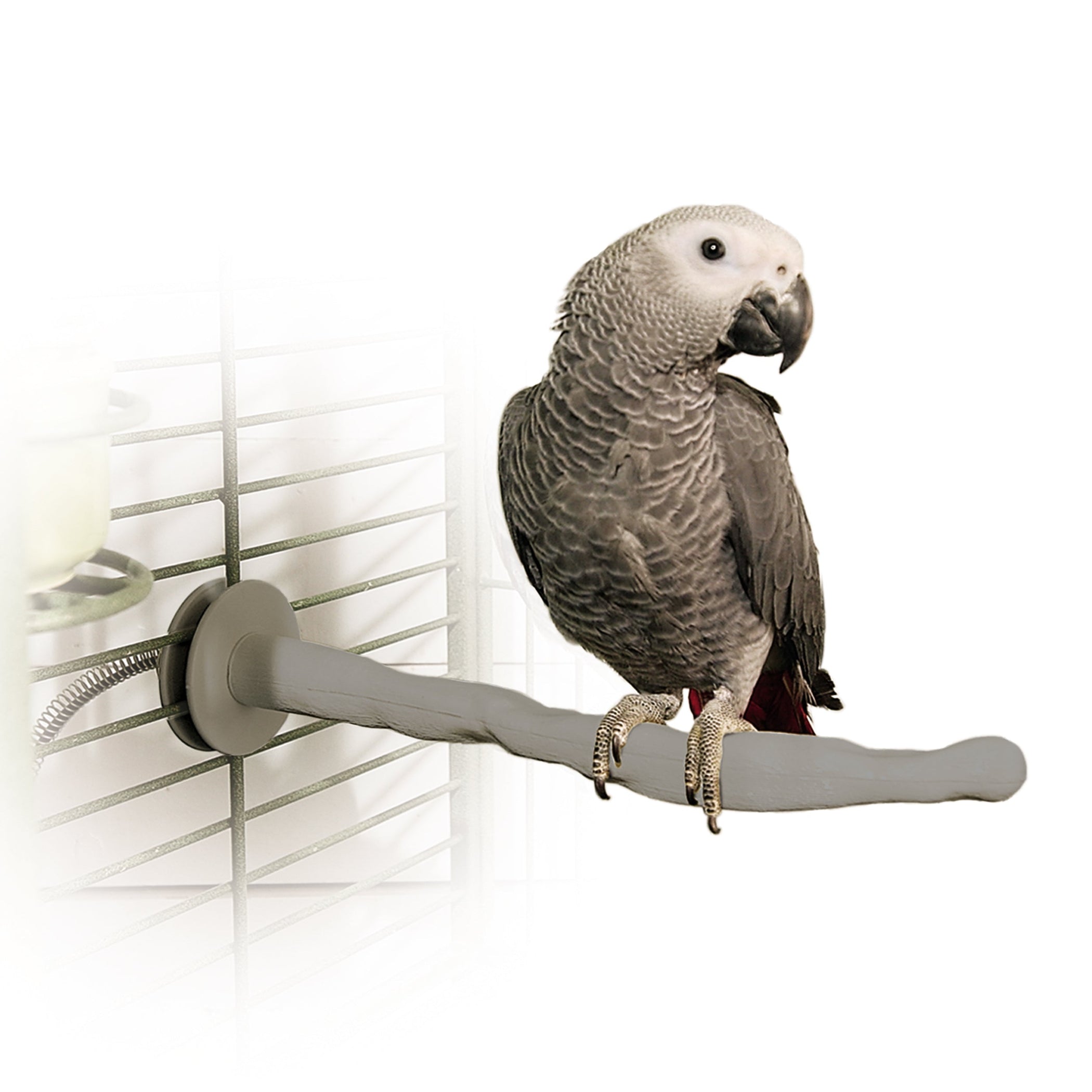 K&H Thermo-Perch Heated Bird Perch — K&H Pet Products
