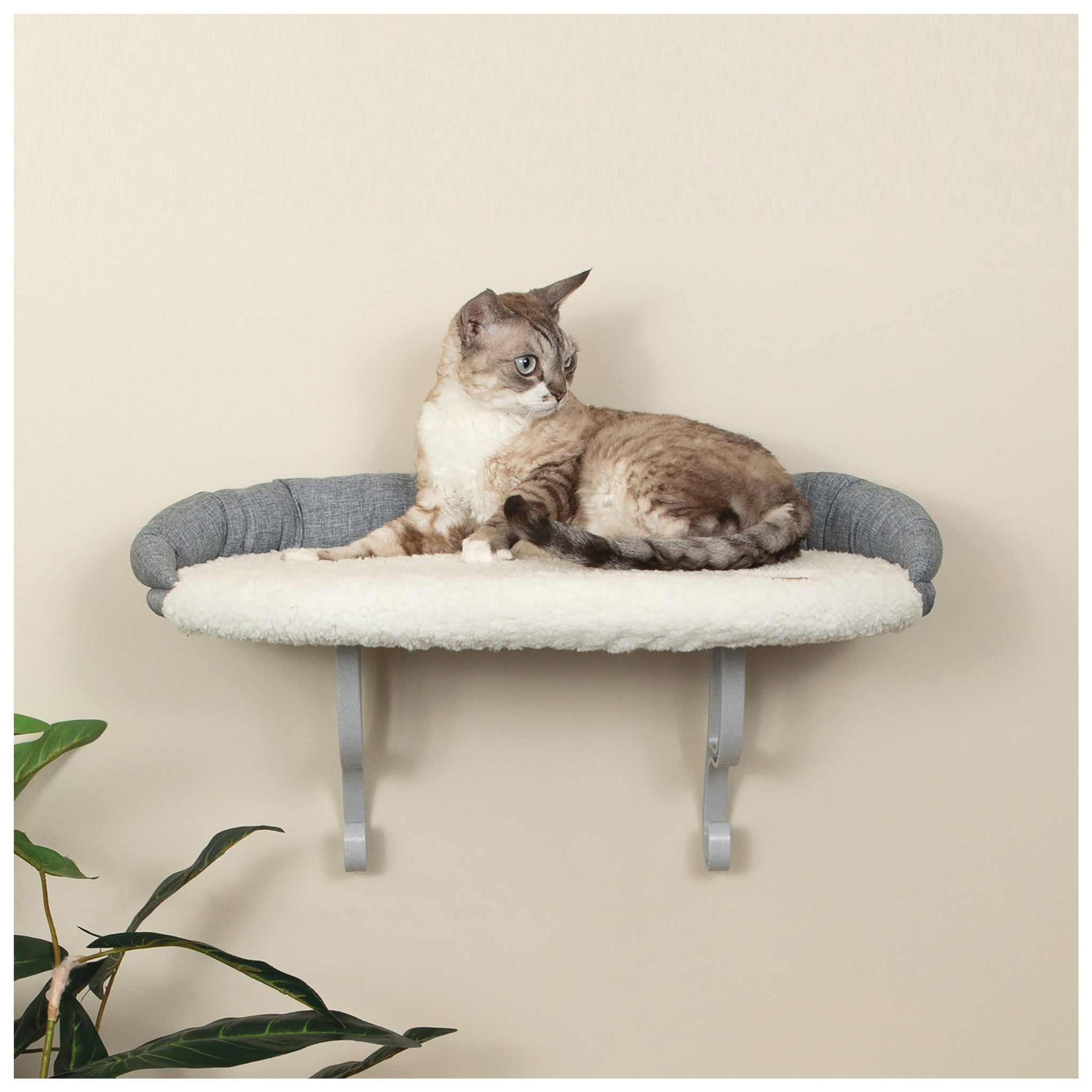 Wall Mount Cat Furniture & Accessories — K&H Pet Products
