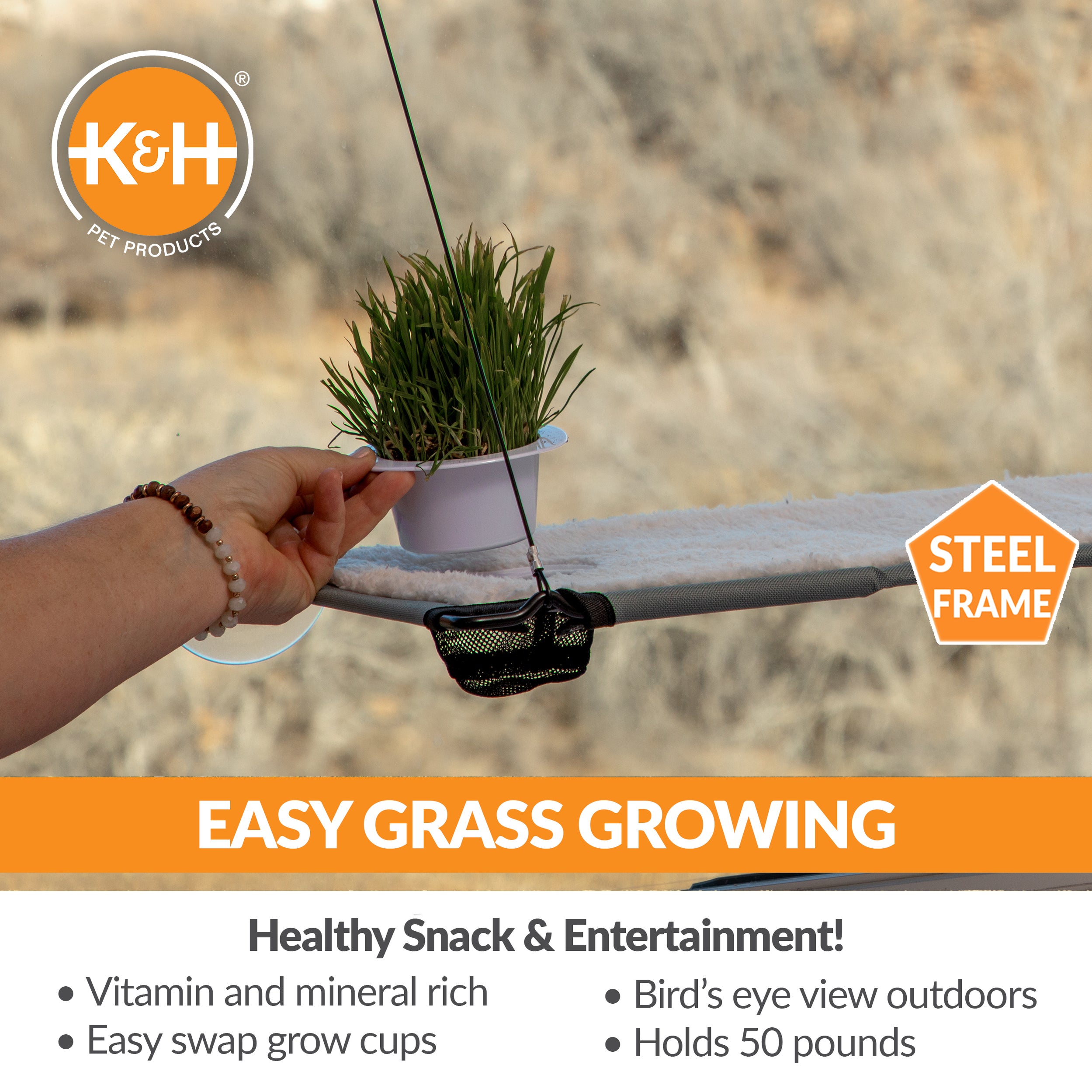 K&H Window Lounger Cat Perch with Cat Grass Grow Station - Single or D ...