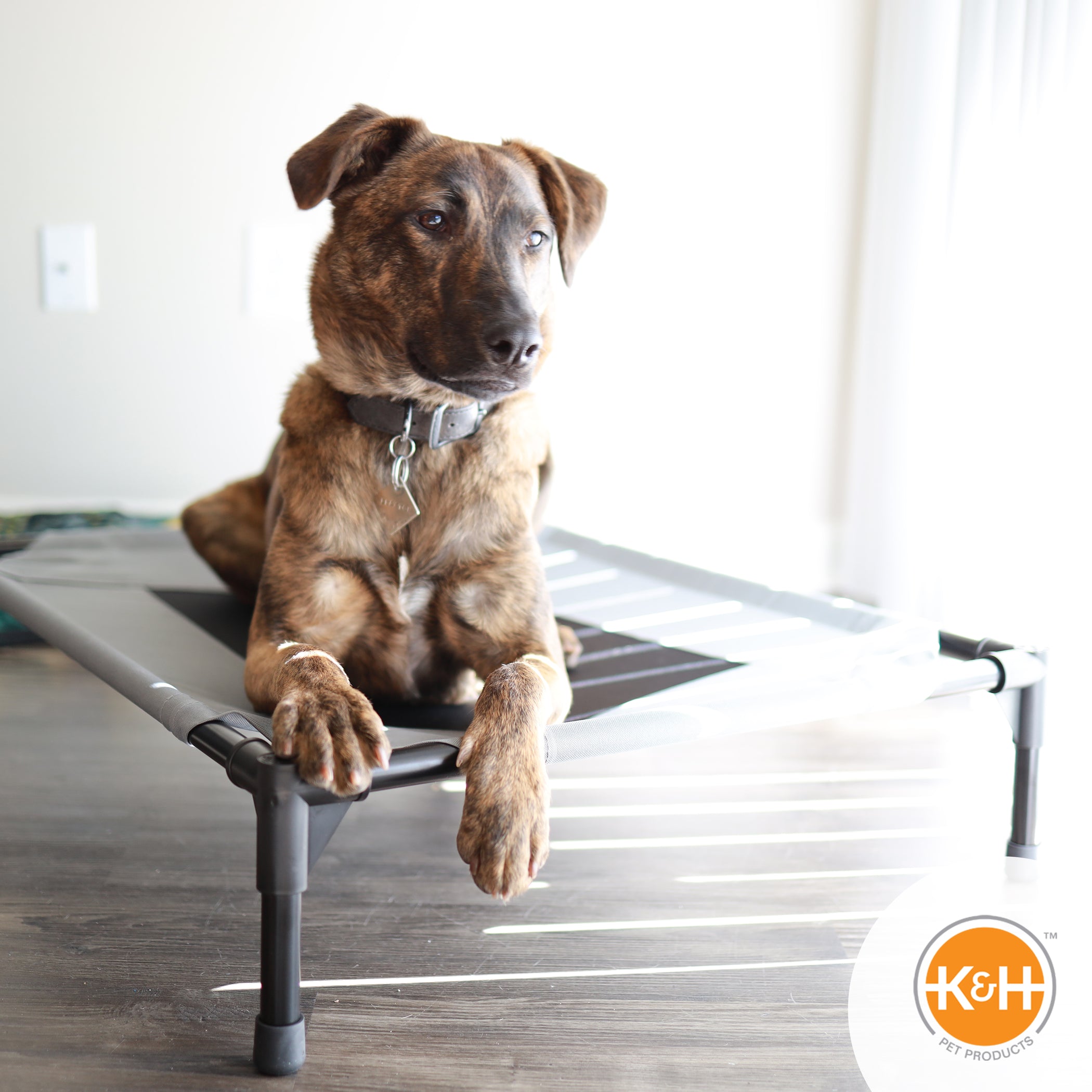 K&H Pet Products Original Pet Cot - Raised, Mesh Cooling Dog Bed