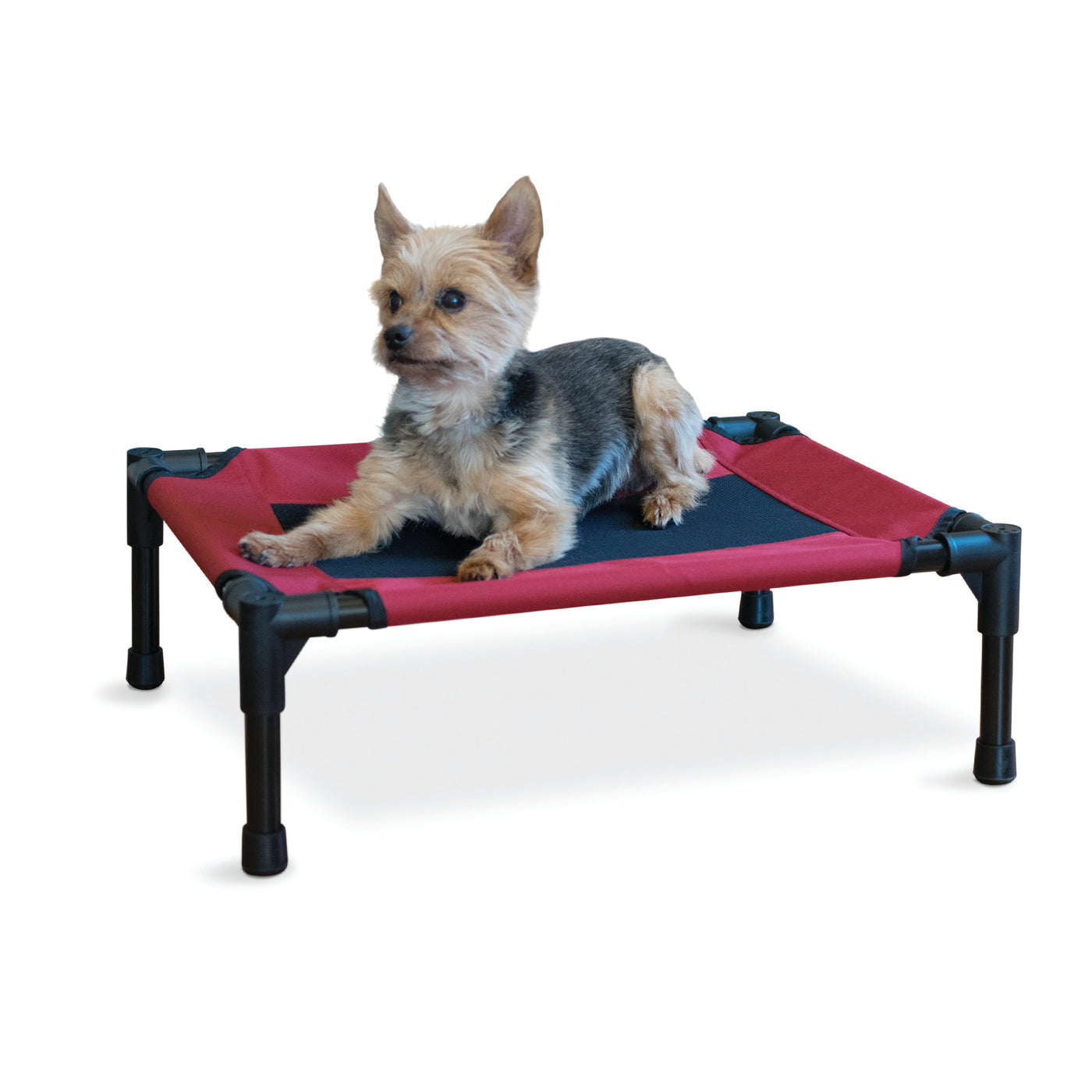K&H Pet Products Original Pet Cot - Raised, Mesh Cooling Dog Bed