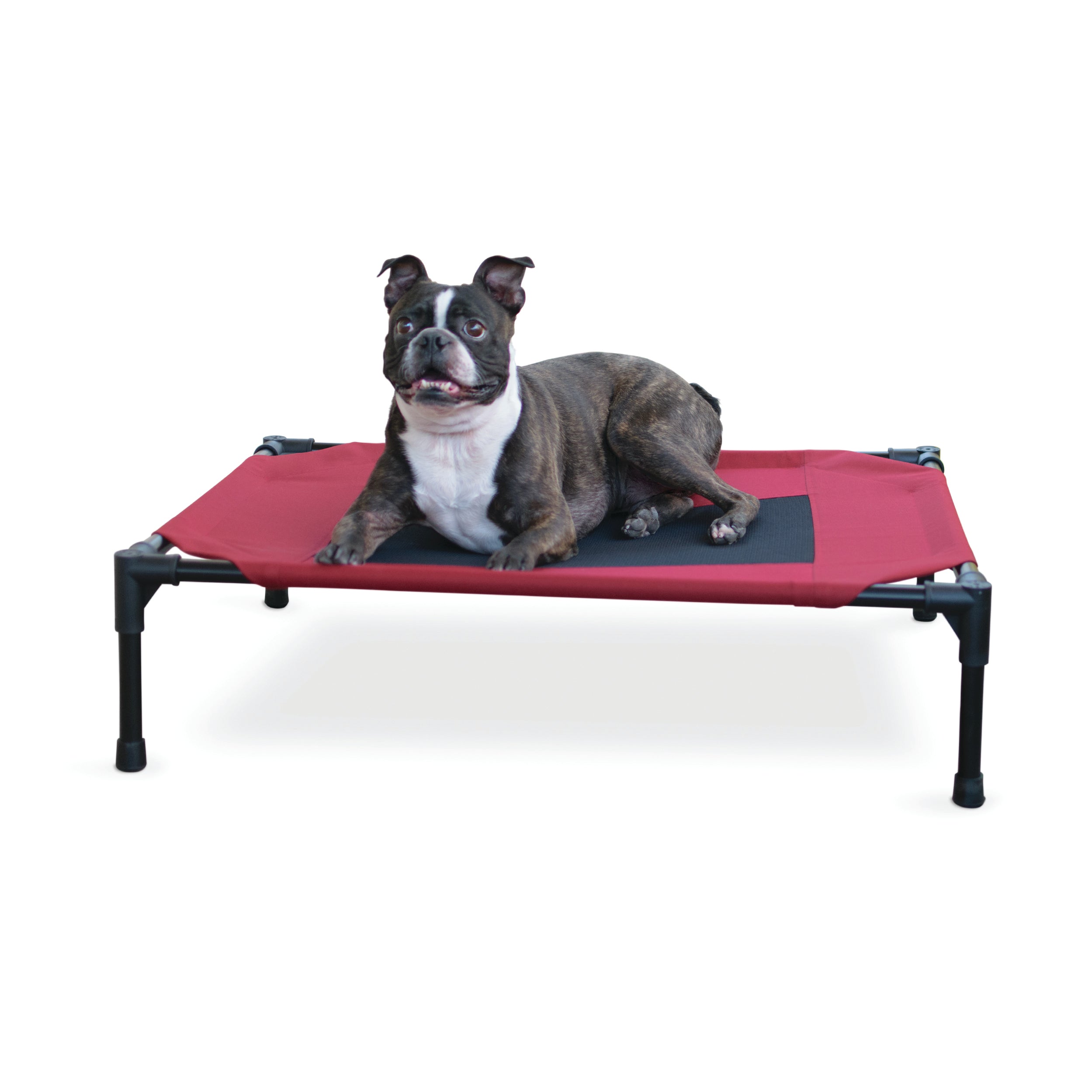 K&H Pet Products Original Pet Cot - Raised, Mesh Cooling Dog Bed