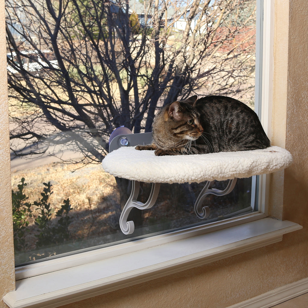 K&H Kitty Sill & EZ Mount Cat Window Perches — K&H Pet Products