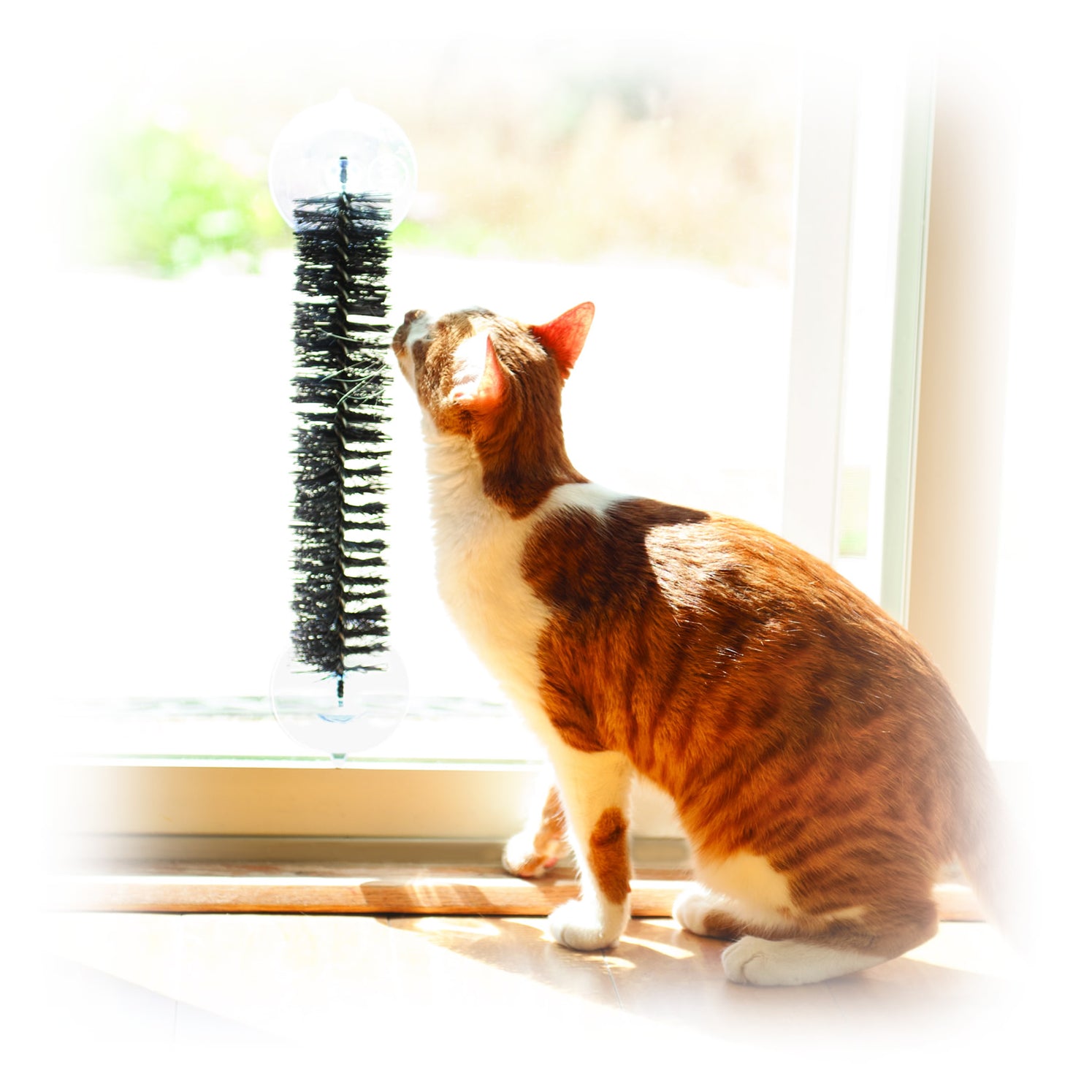 K&H Kitty Sill & EZ Mount Cat Window Perches — K&H Pet Products