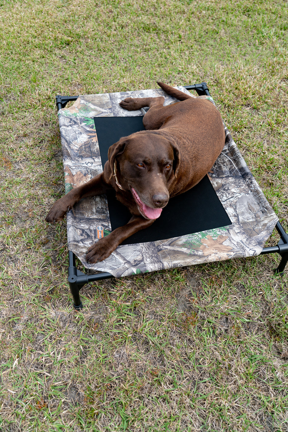 K&H Pet Products Original Pet Cot - Raised, Mesh Cooling Dog Bed