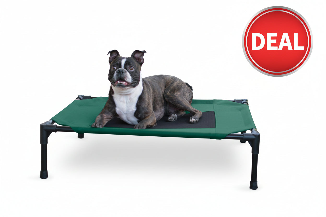 K&H Pet Products Original Pet Cot - Raised, Mesh Cooling Dog Bed