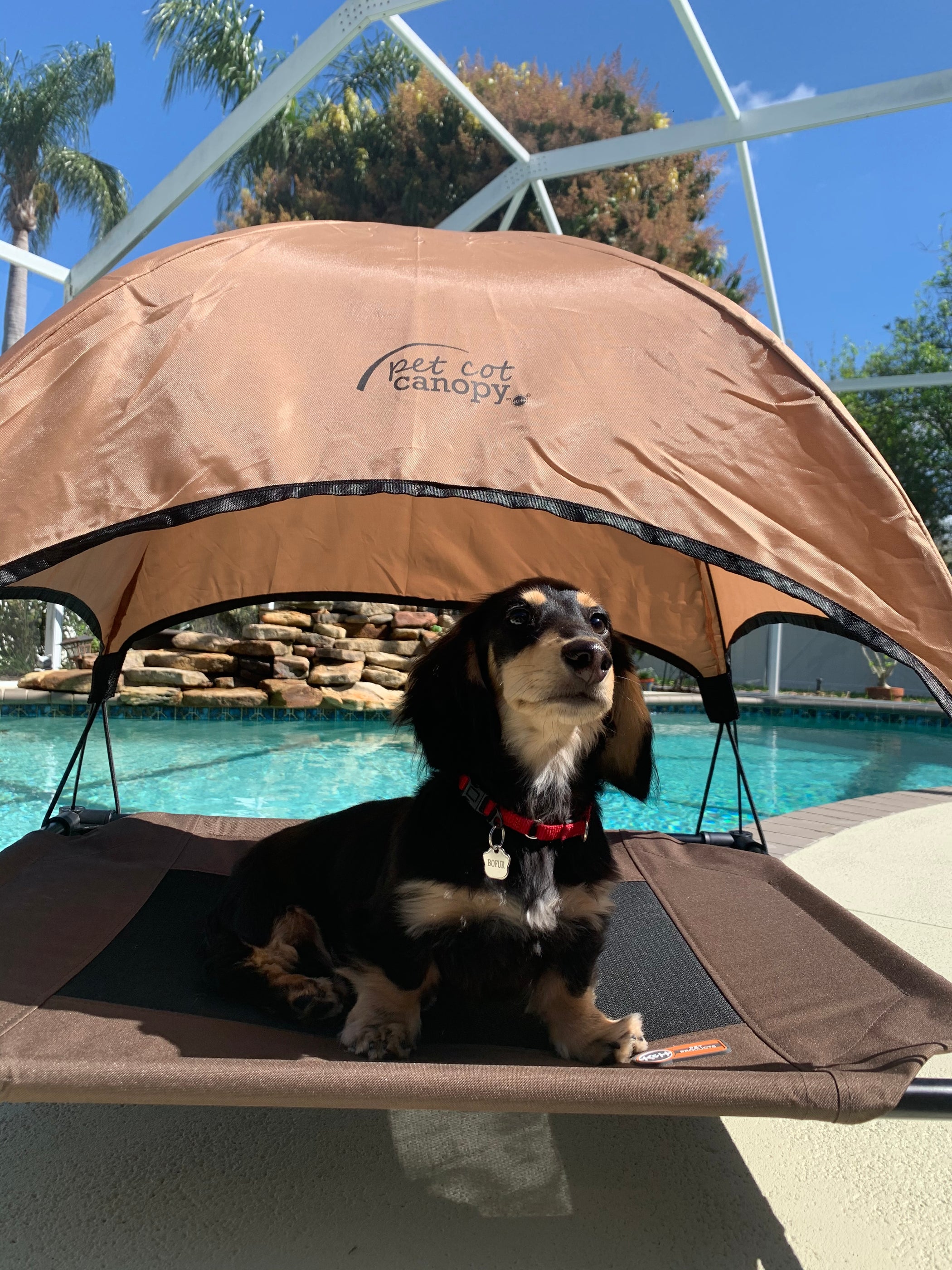 K&H Pet Products Original Pet Cot - Raised, Mesh Cooling Dog Bed