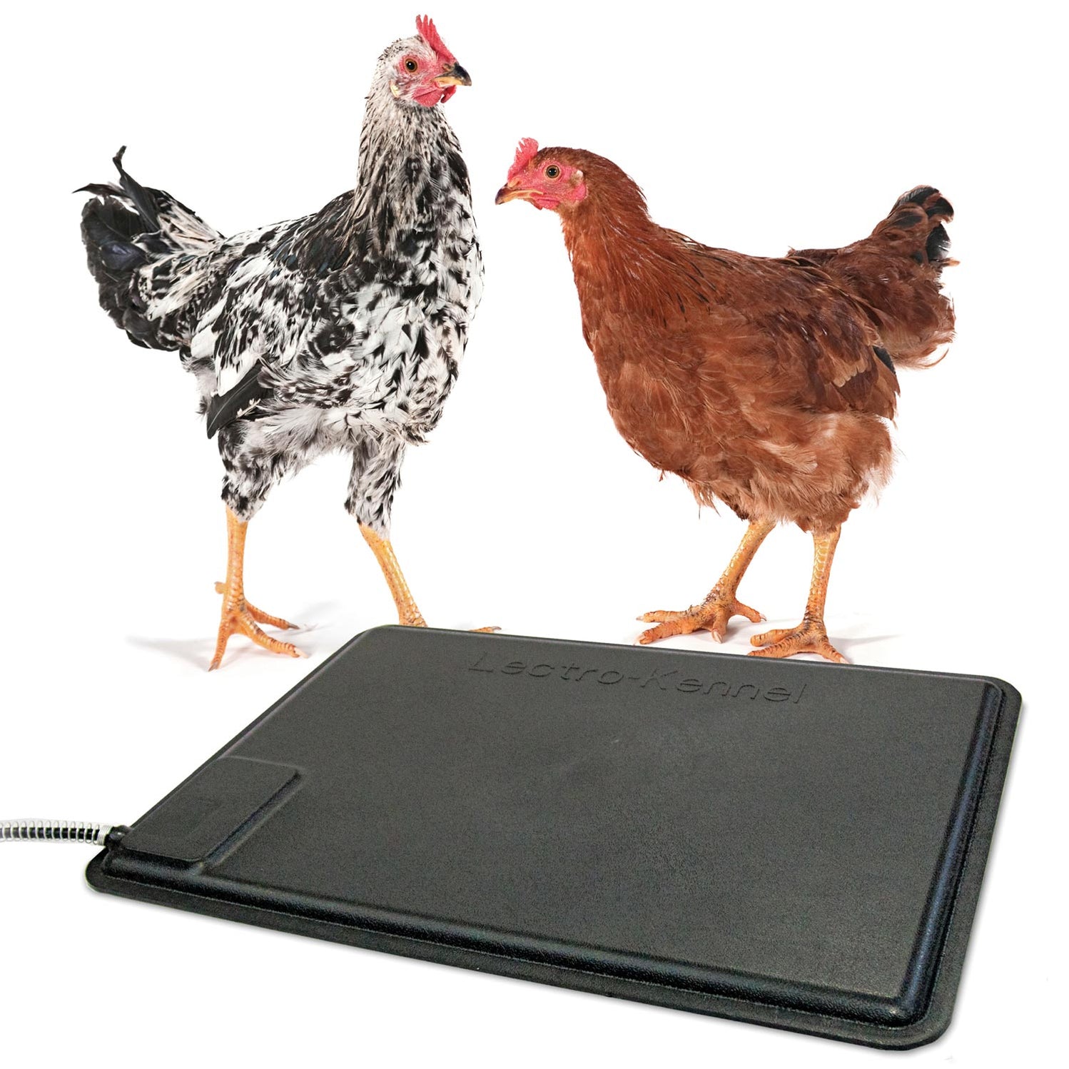 K&H Thermo-Chicken Heated Pad — K&H Pet Products